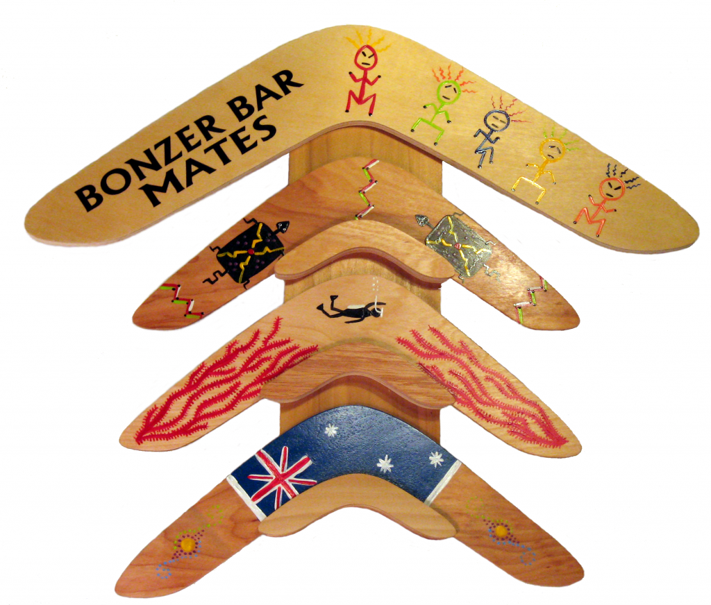 Boomerang Pins