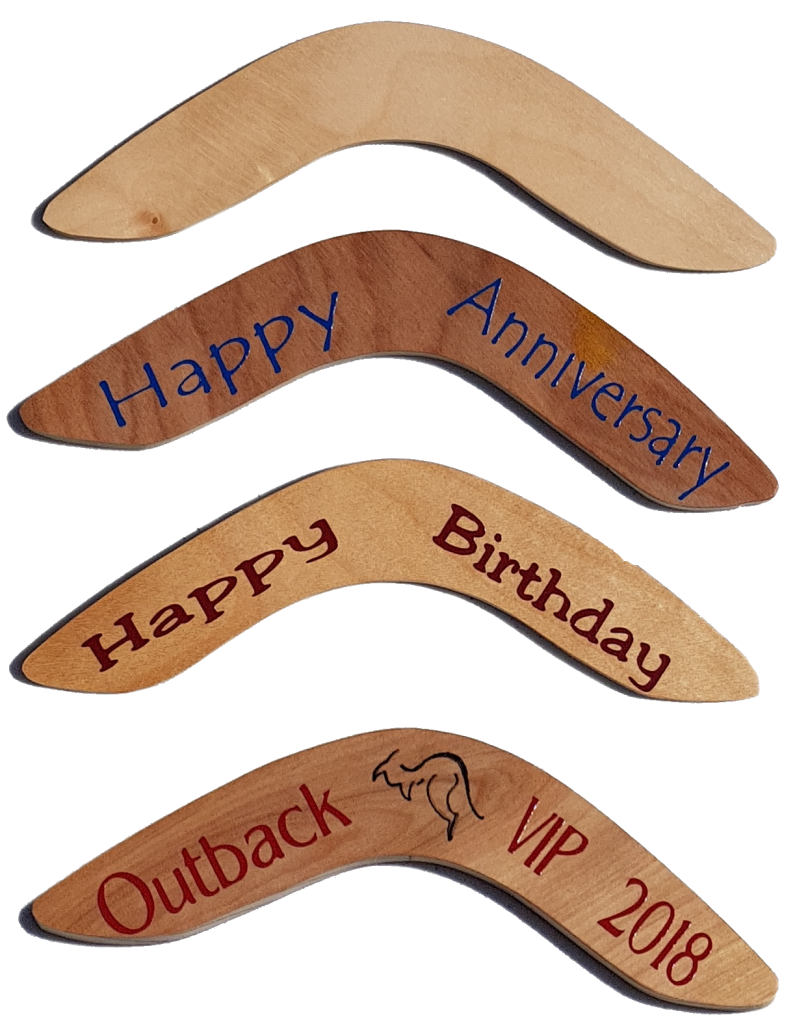 Boomerang Pins